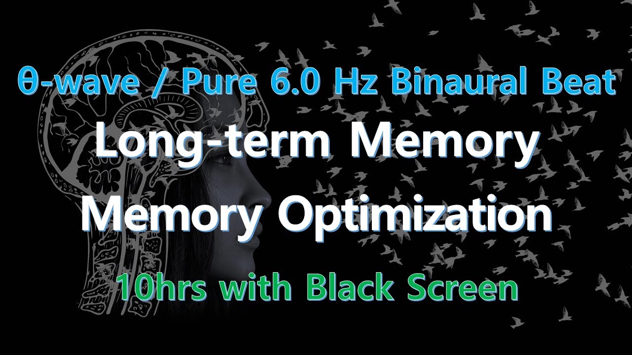 [2020] Long-term Memory | Memory Optimization | θ (theta) wave | Pure ...