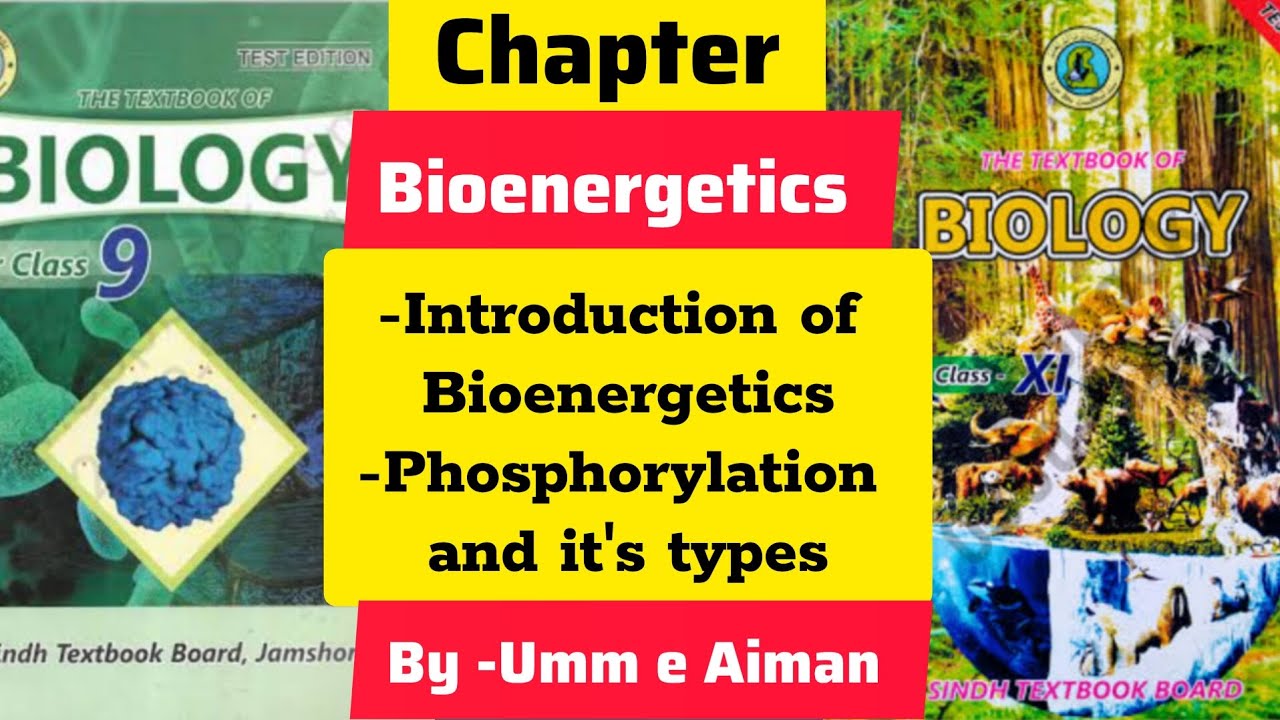 Bioenergetics -Introduction -Phosphorylation - Types of Phosphorylation ...