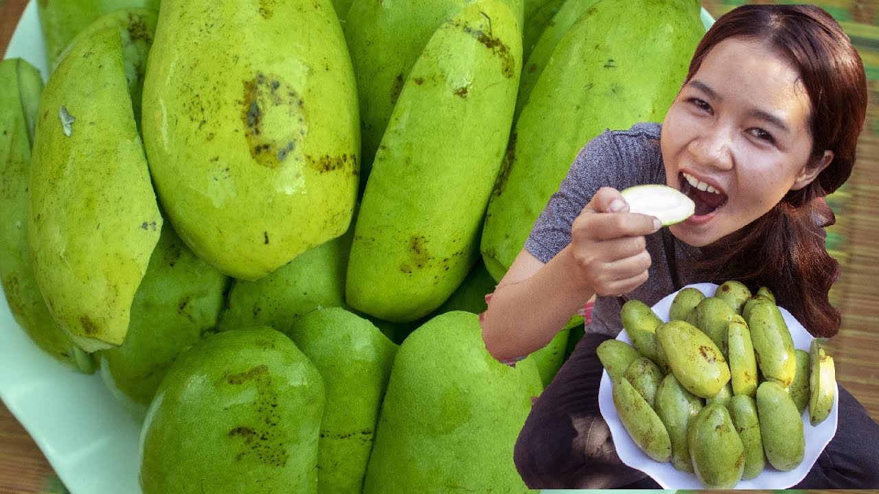 survival skills find and natural mango for food-Green mango eating ...