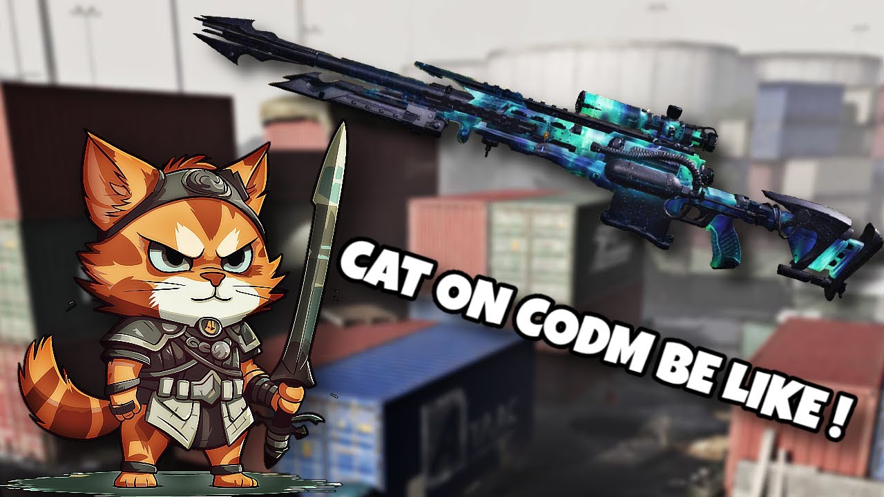 Cat Played 1v1 Sniper Against Random LB Player in CODM - YouTube