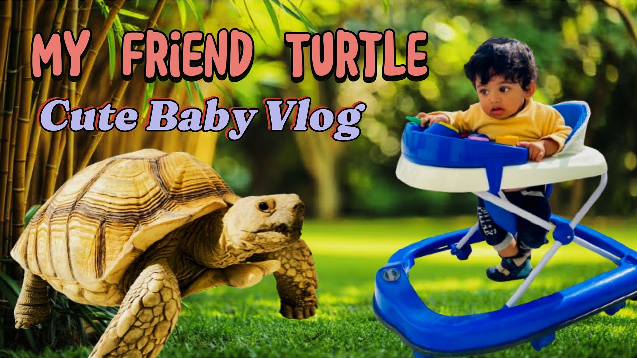 Cute Baby With His Friend Turtle | Viral Baby Vlog | Shahryar Atif ...