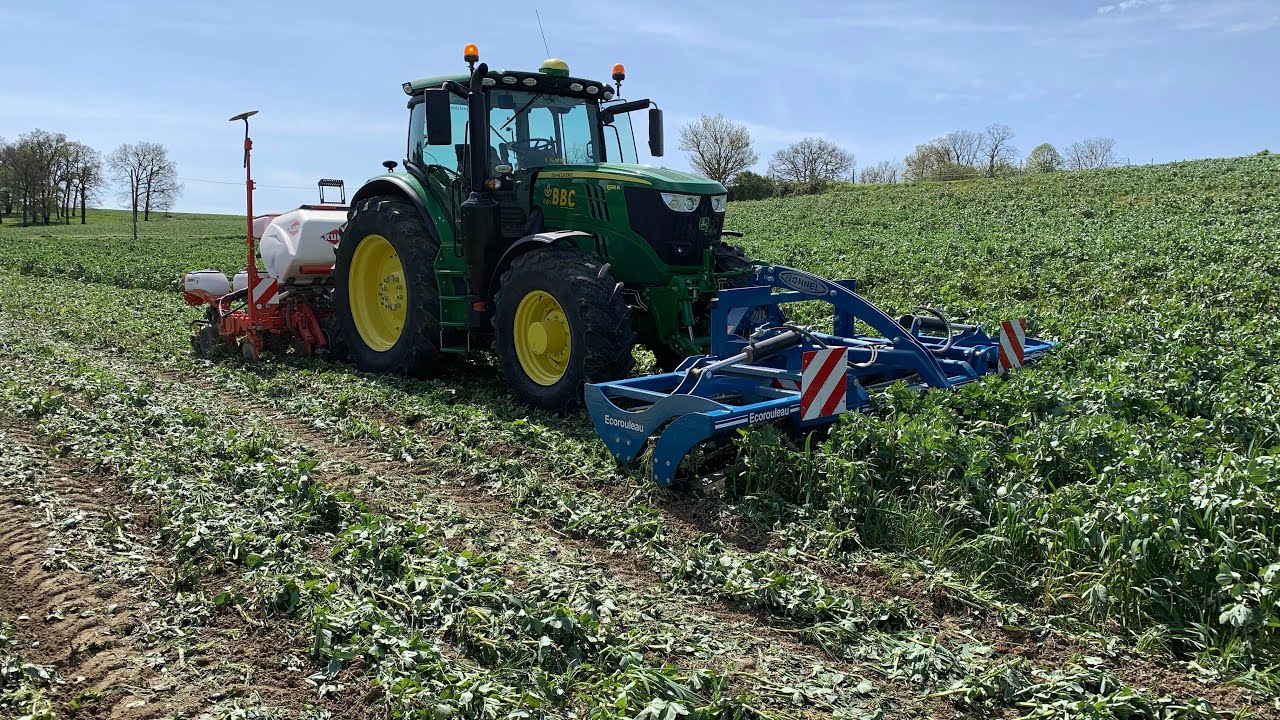 Semis direct de maïs dry sous couvert explication - YouTube