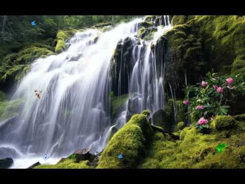 Exotic Waterfall Screensaver http://www.screensavergift.com