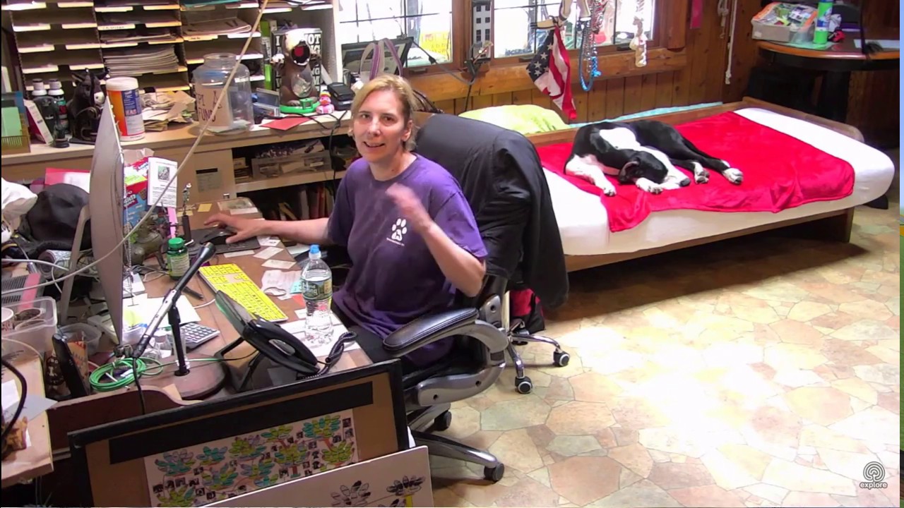 SDP House & Barn Talk 6 30 17 - YouTube