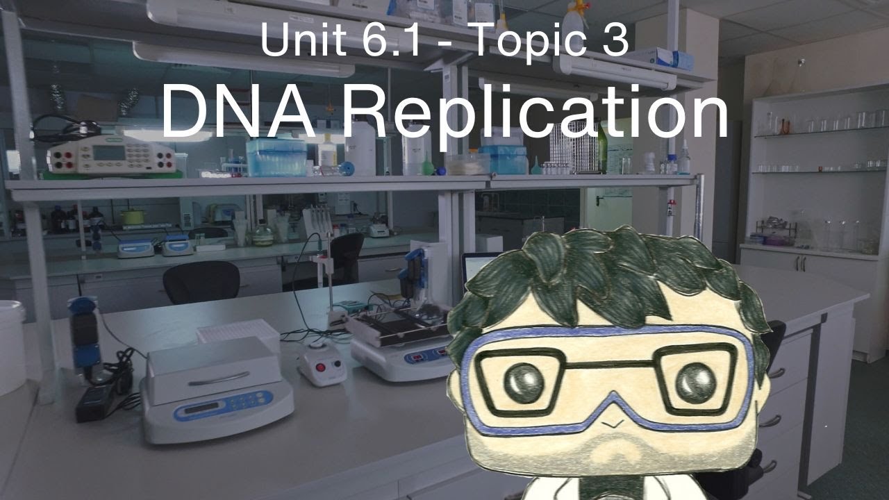 DNA Replication - YouTube