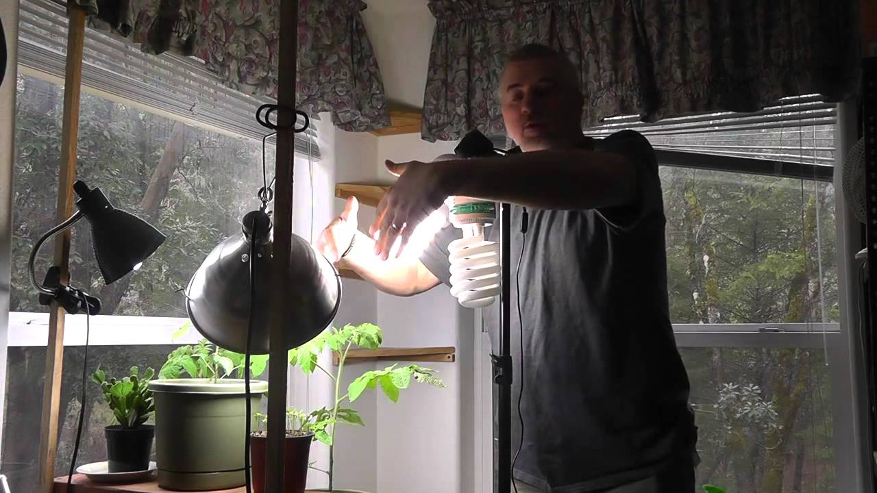Indoor Grow Room Lighting With CFL - YouTube