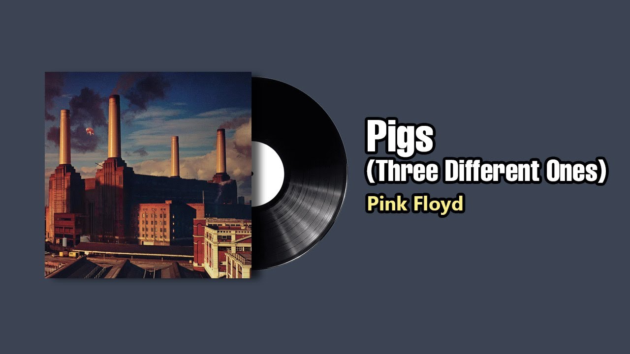Pigs (Three Different Ones) - Pink Floyd (1977) - YouTube