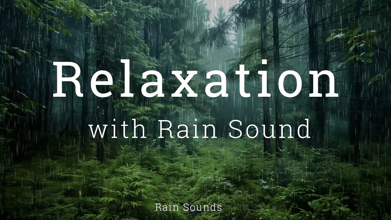 Relaxation with Rain Sound | Find a Moment to Relax with Gentle Rain ...