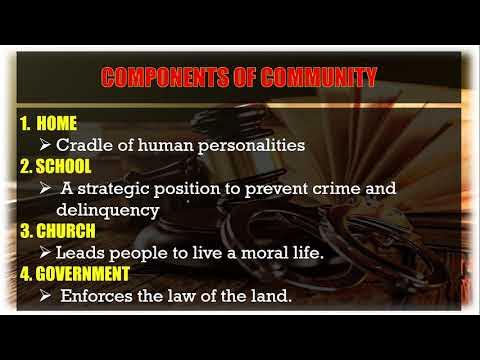 COMMUNITY PILLAR - YouTube