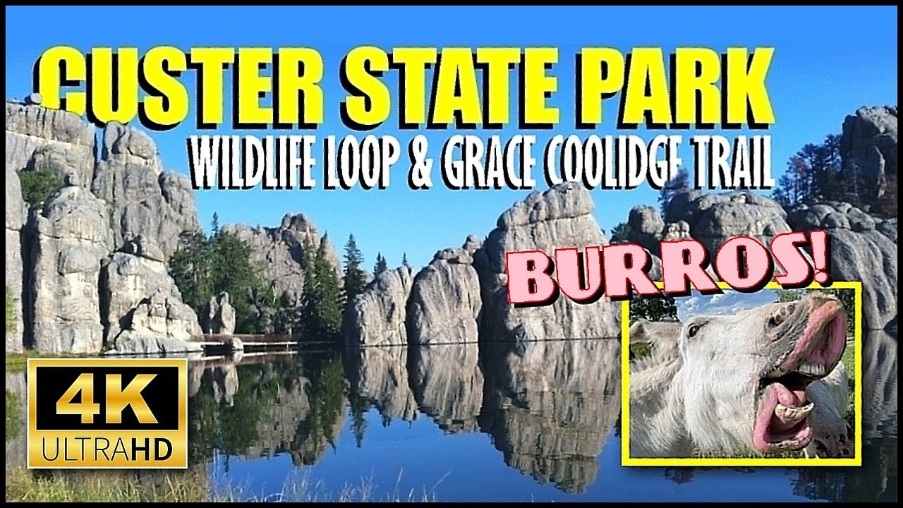 CUSTER STATE PARK - Begging Burros, Wildlife Loop Road & Grace Coolidge ...