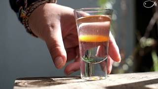 Flatliner Cocktail Recipe