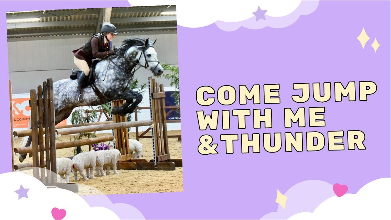Thunder 8yo Connemara Jumping Stallion | avtequine | M&M WHP - YouTube