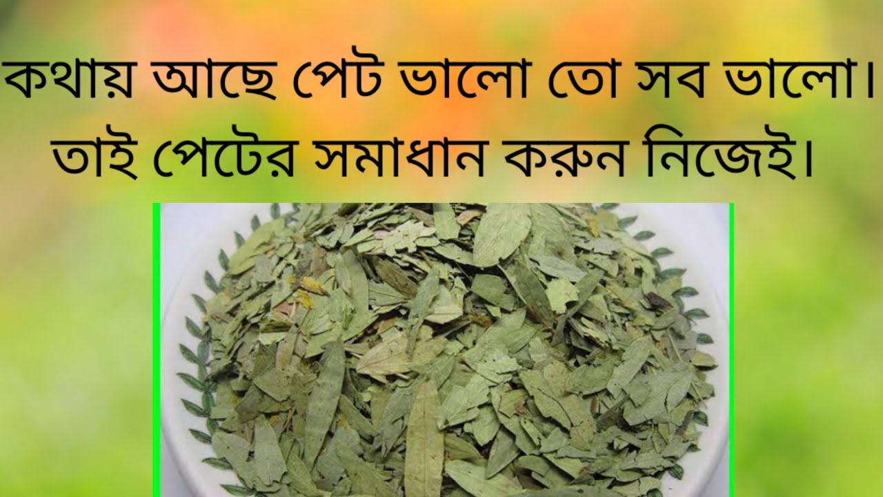 সোনা পাতার উপকারিতা how to benefit of Sona pata. - YouTube