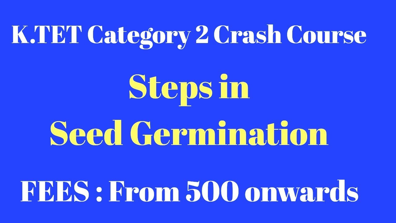 KTET previous year question papers and answer key||KTET category 2 ...