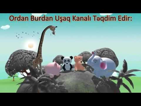Təmizlik mahnısı. Temizlik  mahnisi. Uşaq mahnıları. #temizlik  #uşaqkanalı #təmizlik