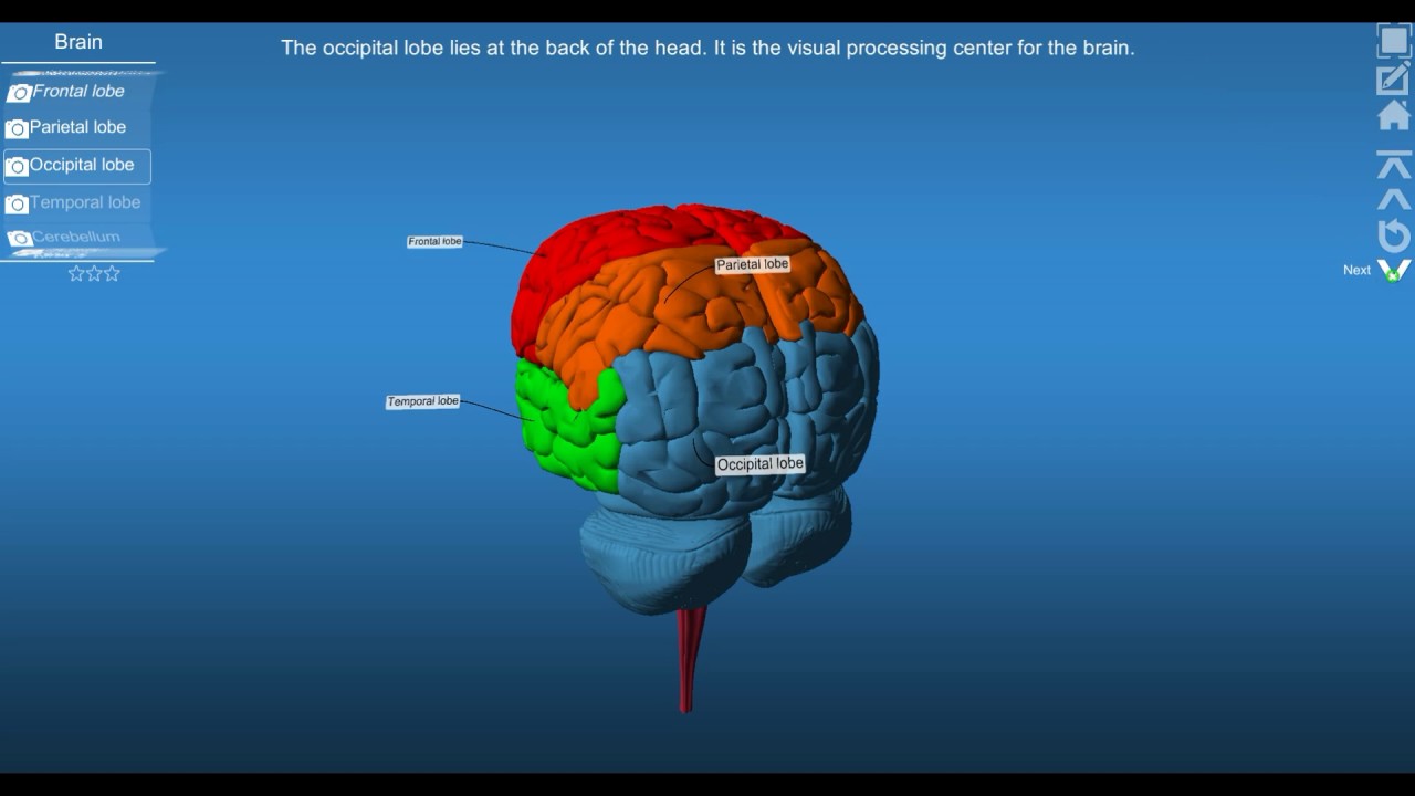 VIVED Science for zSpace Tutorial 3 - Viewing - YouTube