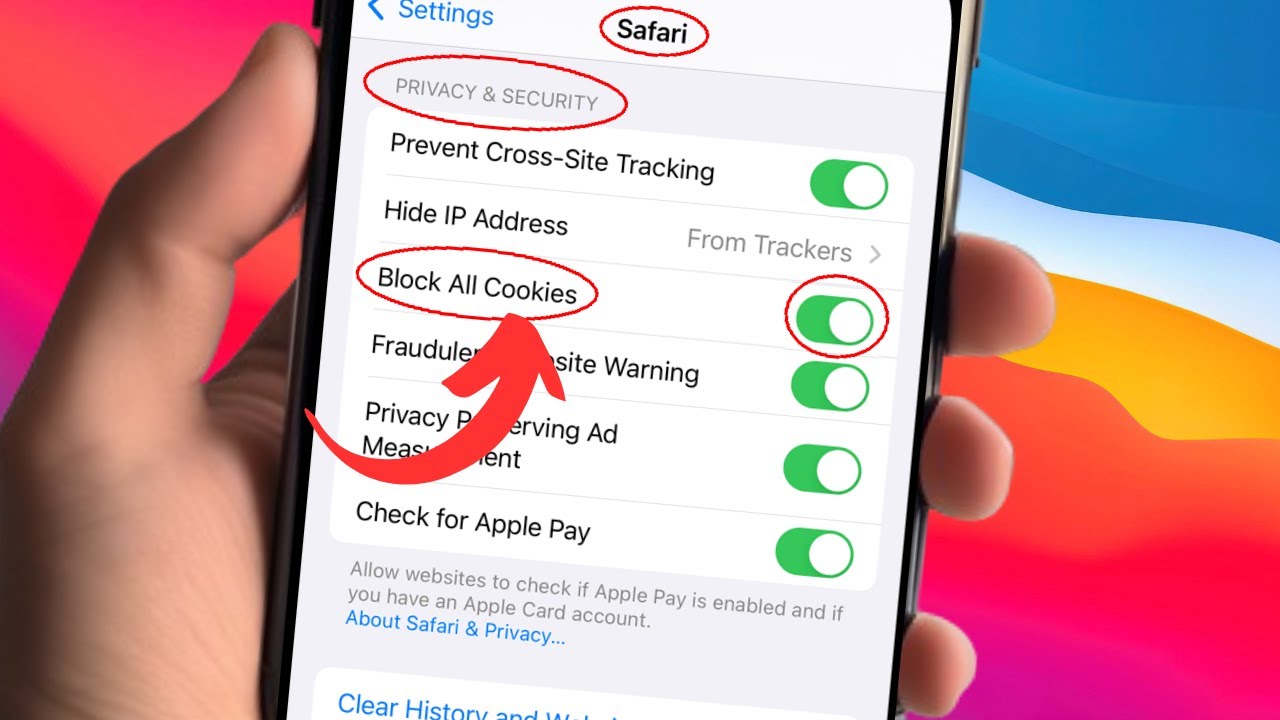 How To Delete Cookies on iPhone / Clear / Remove Cookies Data on iPhone ...