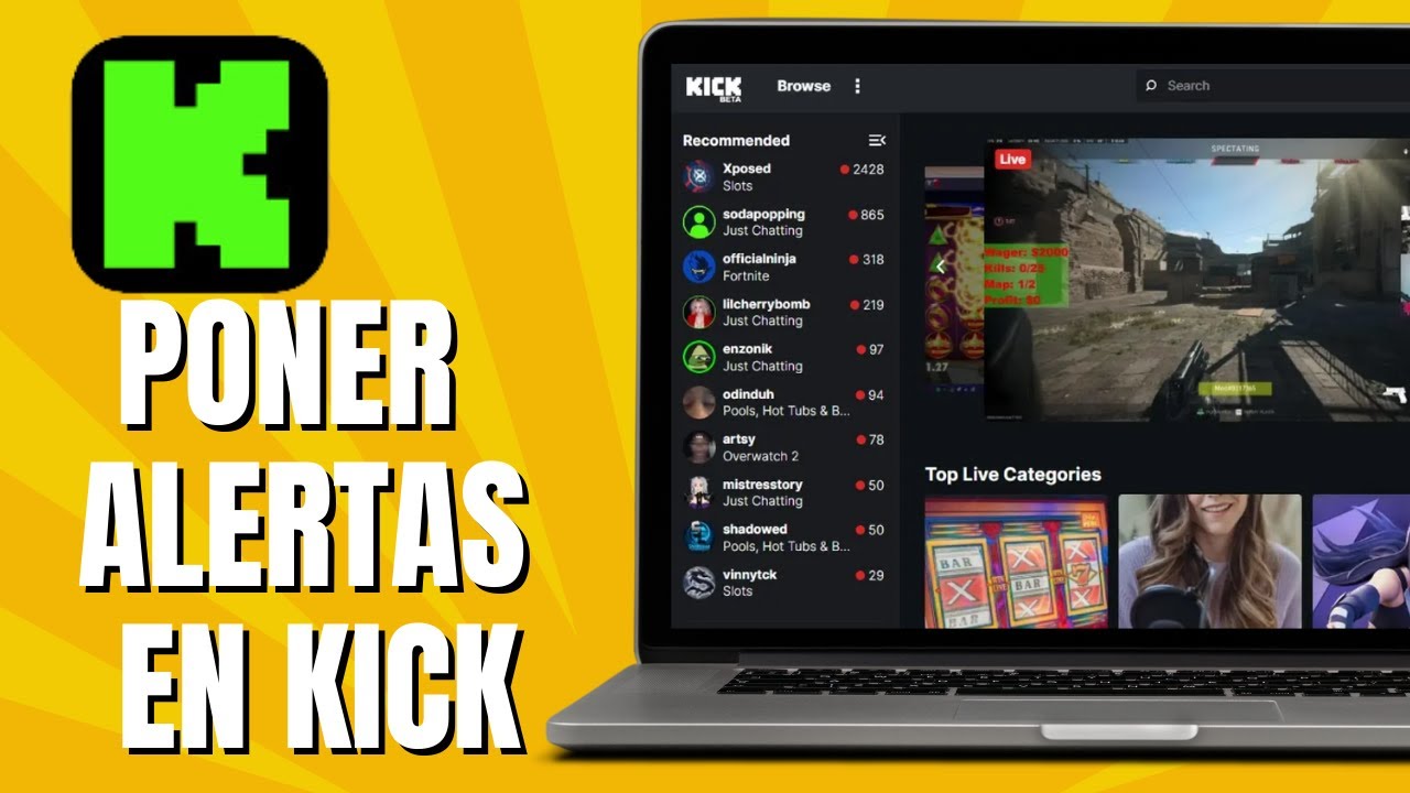 Cómo PONER ALERTAS En KICK - YouTube
