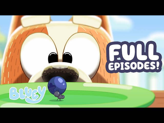 Bingo and the Blueberry Bug! 🐜 🫐 | Bluey FULL EPISODE Compilation 💙 ...
