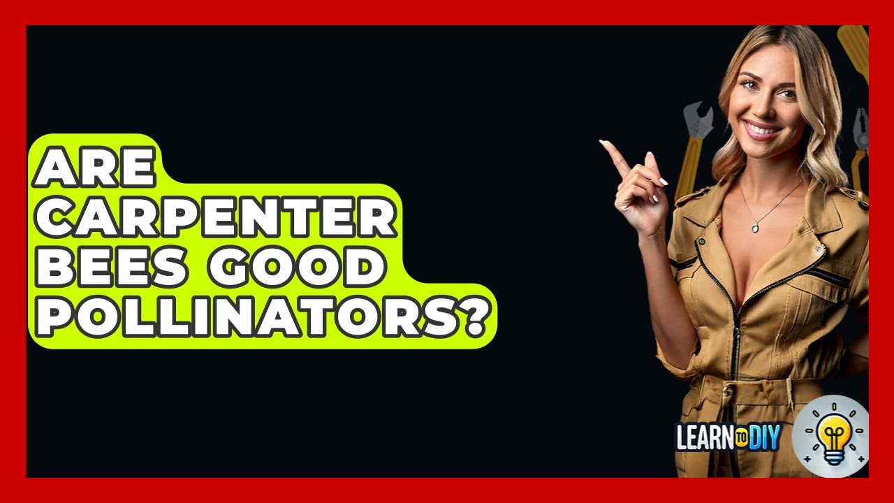 Are Carpenter Bees Good Pollinators? - LearnToDIY360.com - YouTube
