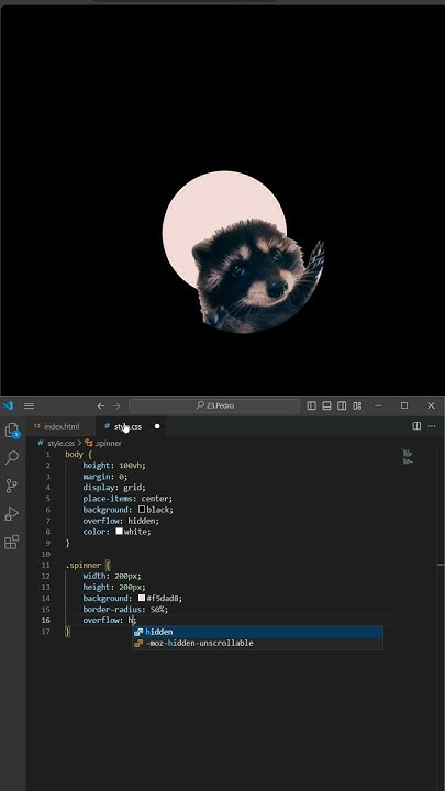 Pedro Pedro But Using Css 💻📝 Css Coding Cssanimation Html Youtube