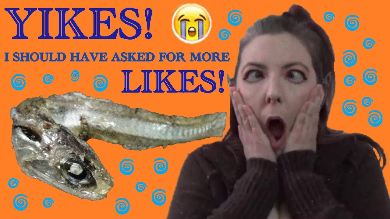 I really should have asked for more likes. - YouTube