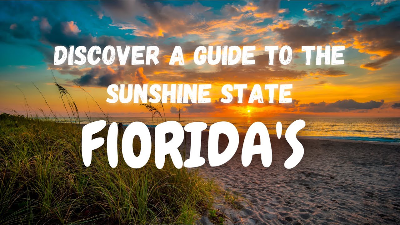 Explore Florida's Best Beaches, Parks & Cities: A Guide to the Sunshine ...