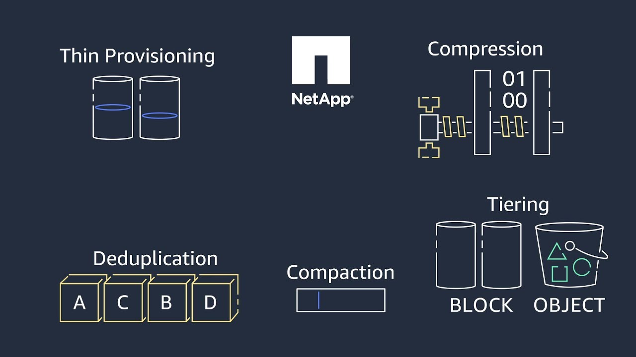 Data Management Services from NetApp Cloud Volumes ONTAP for AWS - YouTube