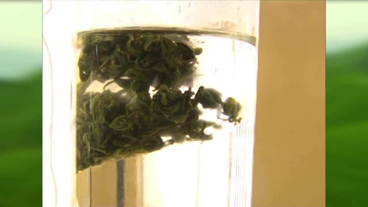 Preparation of Ziran Premium Tea in a glass - YouTube