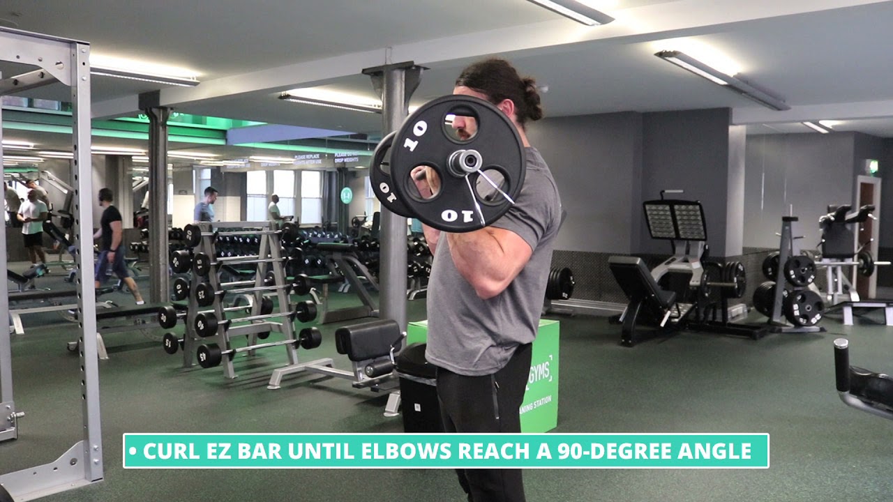How To Do Ez Bar Curl | Exercise Demo - YouTube