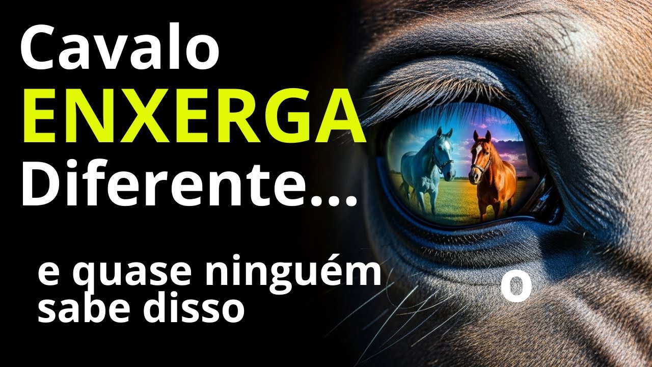 Como o CAVALO VÊ o Mundo | Curiosidades e Segredos da VISÃO dos CAVALOS ...