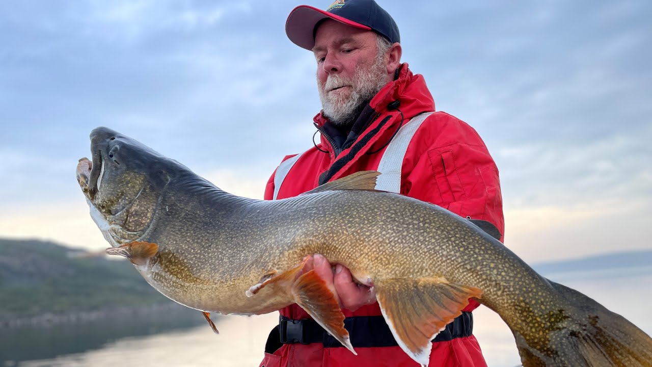 Fishing trophy-sized lake trout in shallow water - Petersons Point Lake ...