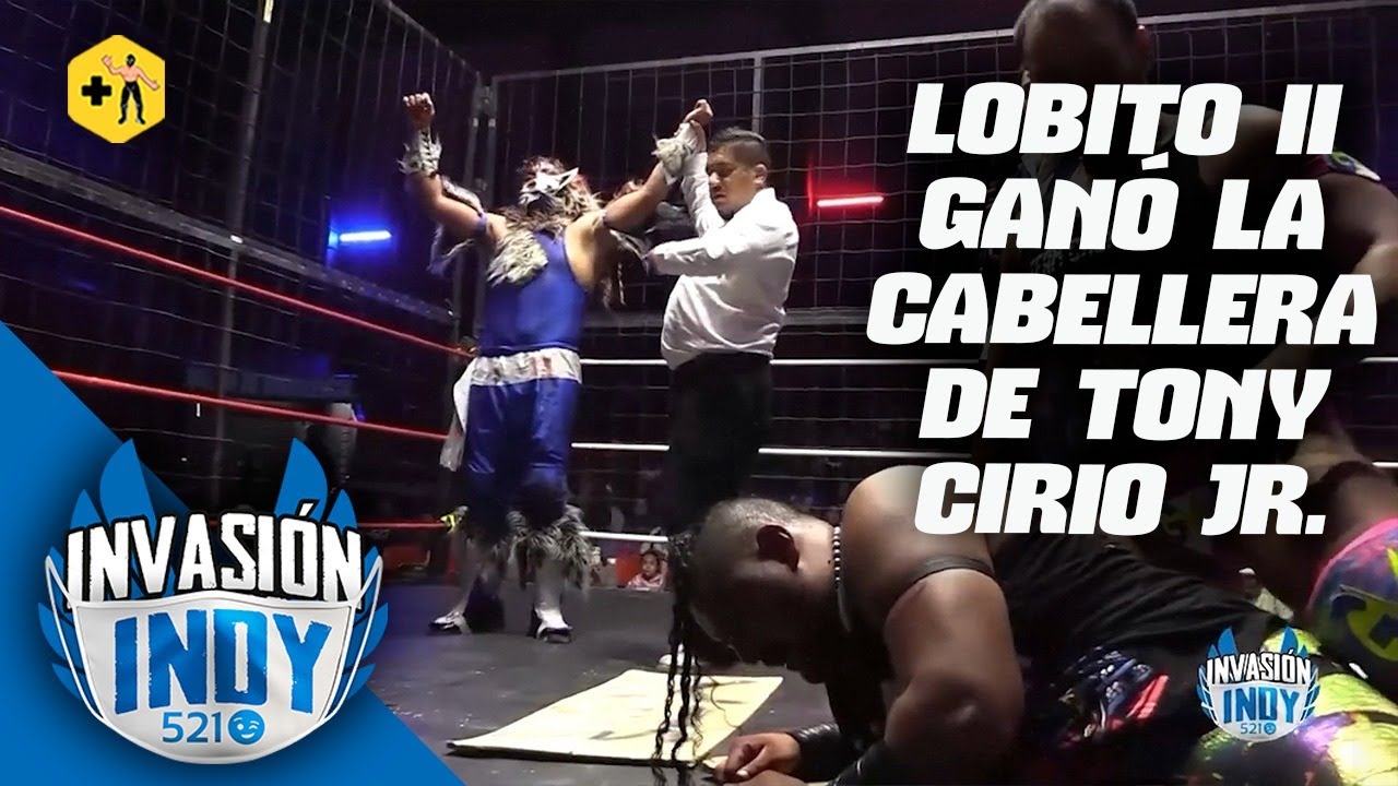 ¡El Lobito II ganó la cabellera de Tony Cirio en la lucha en jaula ...
