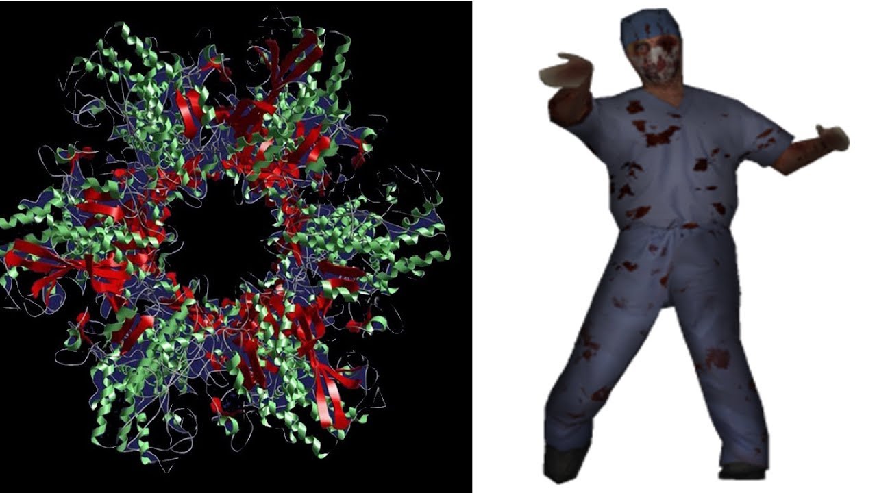 ข้อมูล : SCP-008 เเละผู้ติดเชื้อ - YouTube