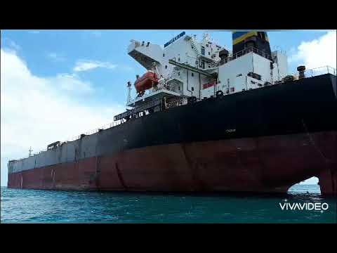 Mv. Anggrek laut/topeka - YouTube