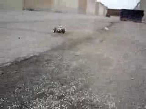 Tamiya TamTech Fox RTR Drift Offroad dirt series shootout - YouTube