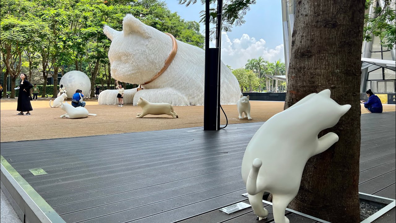 Shenzhen, China- 4K Walk around COCO Park, Mixc, Happy Harbor… - YouTube