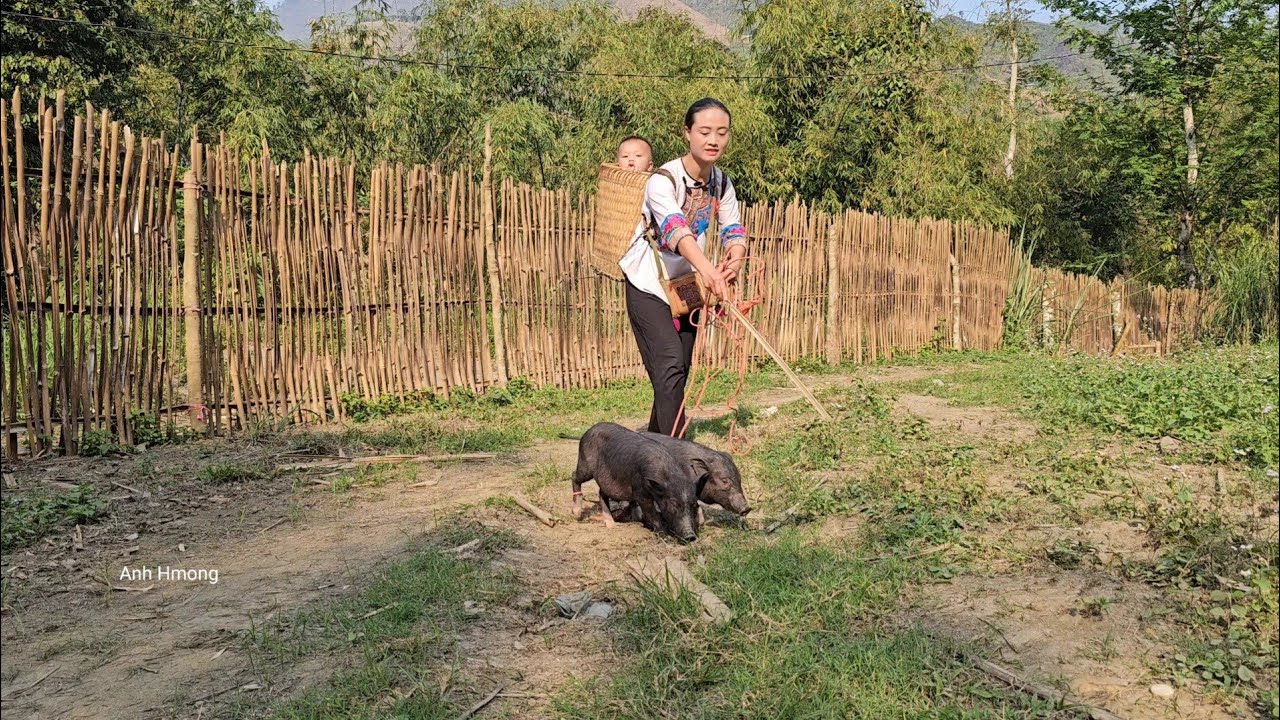 Strange man and 17 year old single mother - anh hmong - YouTube