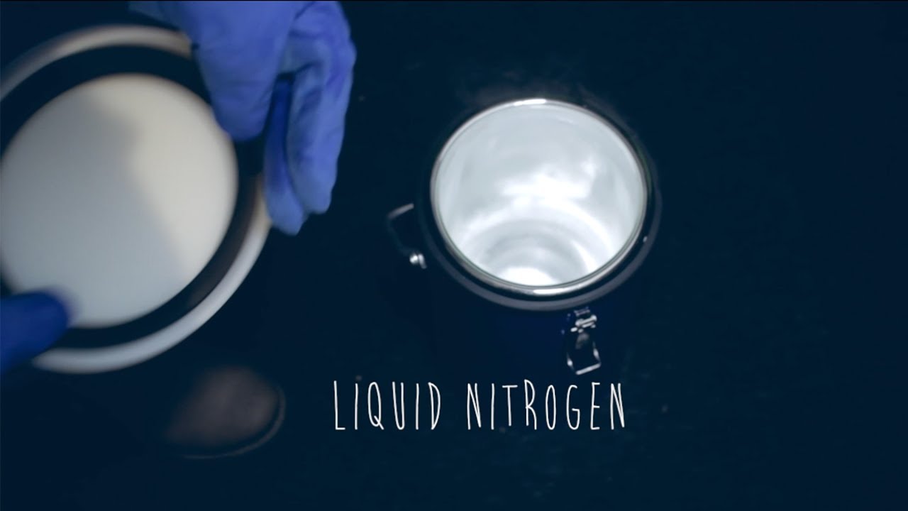 Liquid Nitrogen - IBBL biobank at the 2013 Science Festival ...