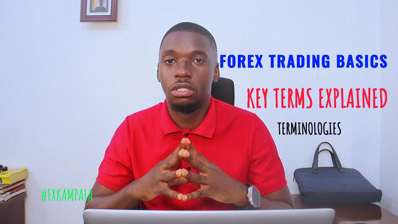 FOREX TRADING BASIC KEY TERMS EXPLAINED - YouTube