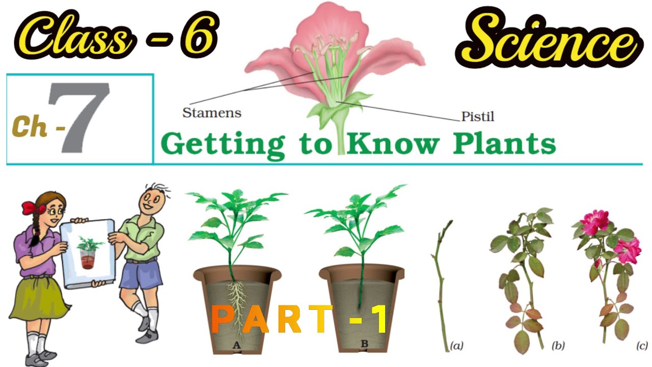CLASS 6 SCIENCE CHAPTER 7 NCERT Explained In Hindi CBSE UPSC class-6-science-chapter-7-ncert-explained-in-hindi-cbse-upsc