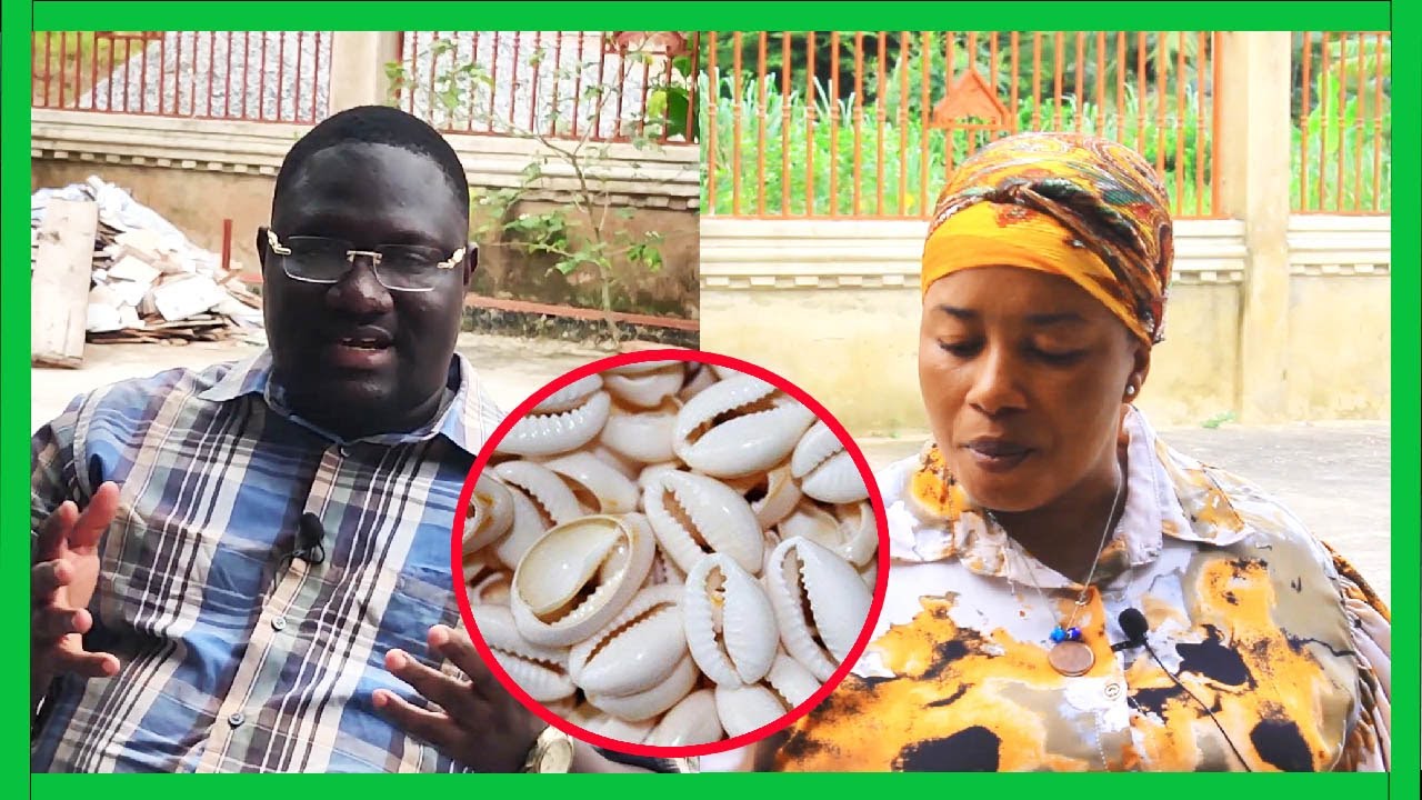 Mystery Behind Cowries That Will Shock You | Nature Servant Reveal Deep ...
