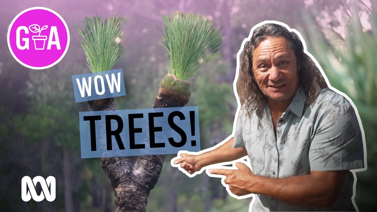 Top 5 Trees For Your Garden | Garden Design and Inspiration | Gardening ...