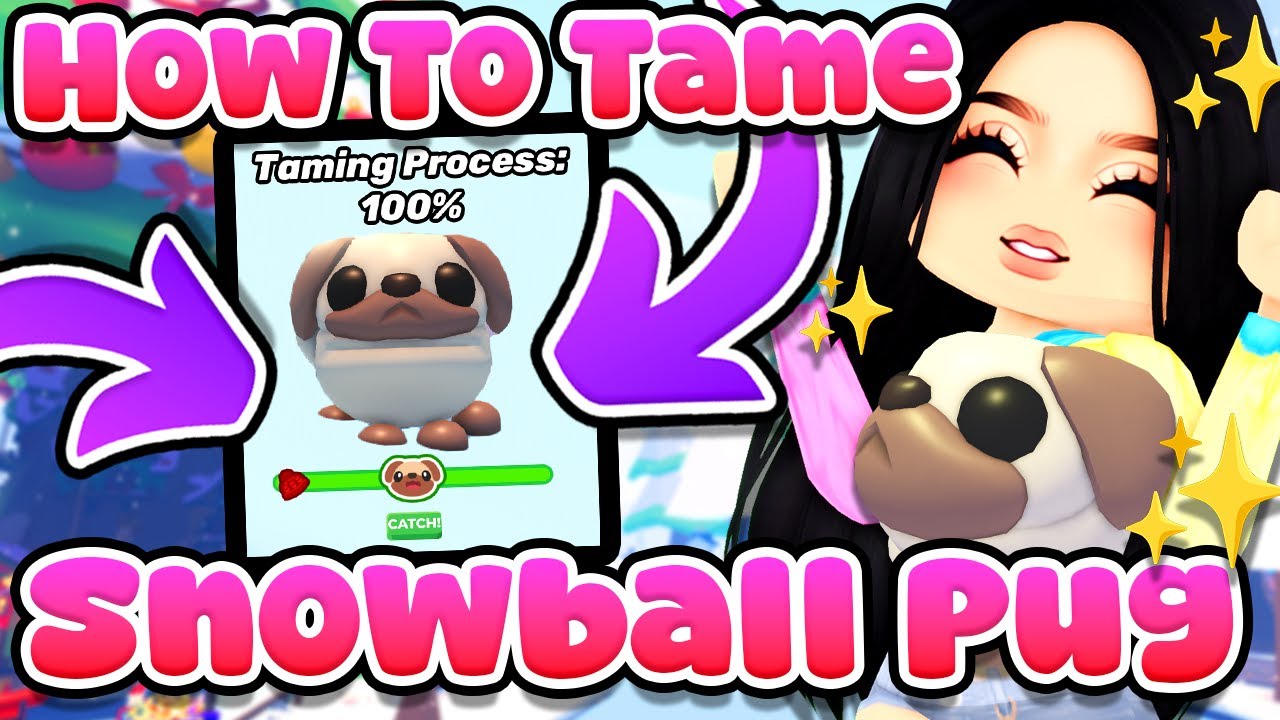 HOW TO *TAME a SNOWBALL PUG* 🧶 YARN BEANIE 🧶 in Adopt Me! (roblox ...