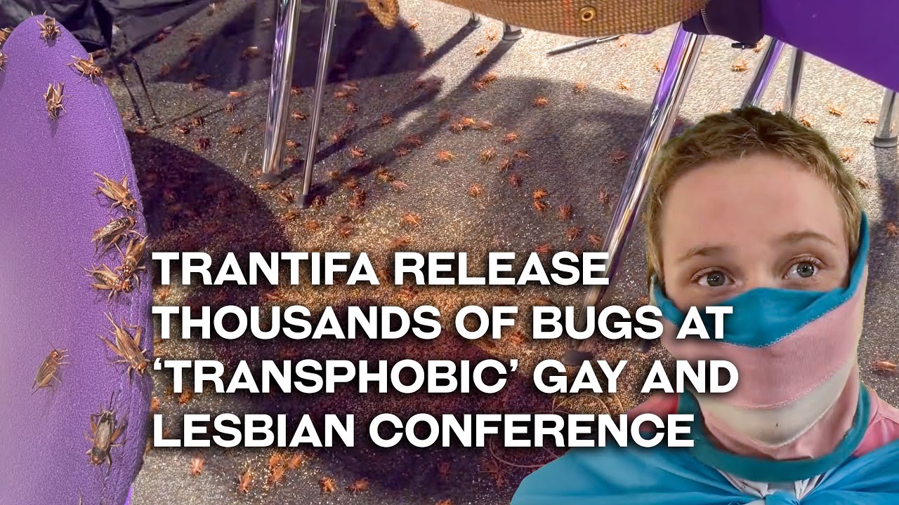 Trantifa attack gay and lesbian conference with thousands of insects as ...