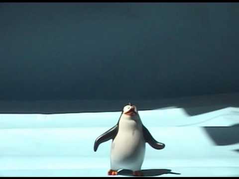 penguin - YouTube