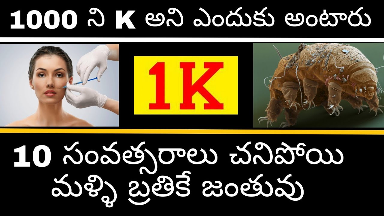 Why 1000 Is Denoted As K Intresting And Unknown Facts Top Facts why-1000-is-denoted-as-k-intresting-and-unknown-facts-top-facts