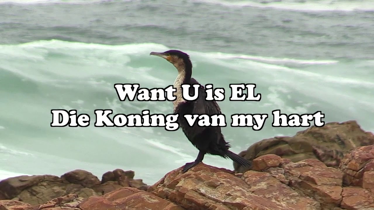 My Hande Hef Ek Op Na U Youtube