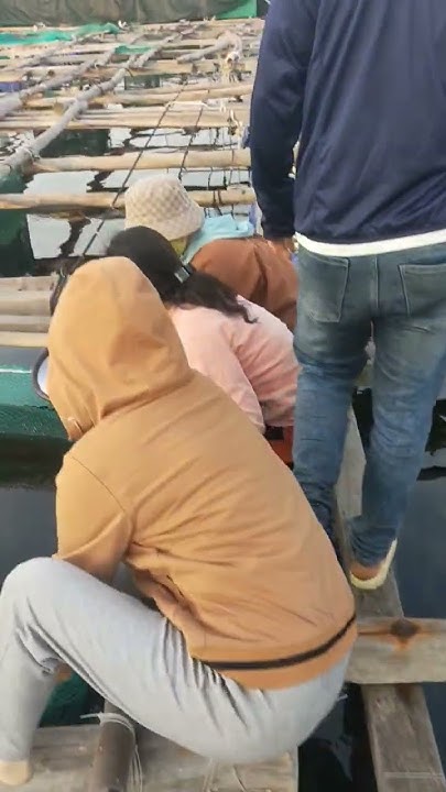 tôm cá sông cầu phú yên - YouTube