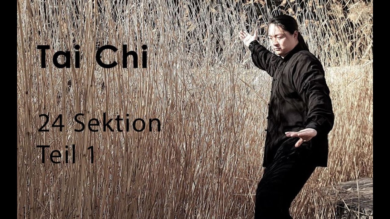 Tai Chi 24 Tutorial Teil 1 - YouTube